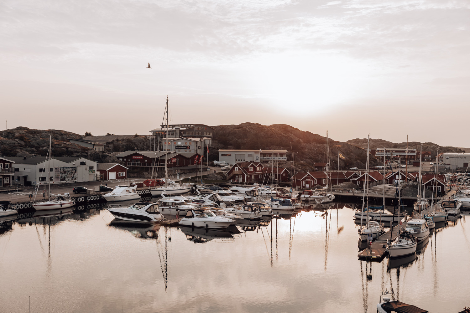 Meet the Roaster: Quo Coffee - KaffeBox.no